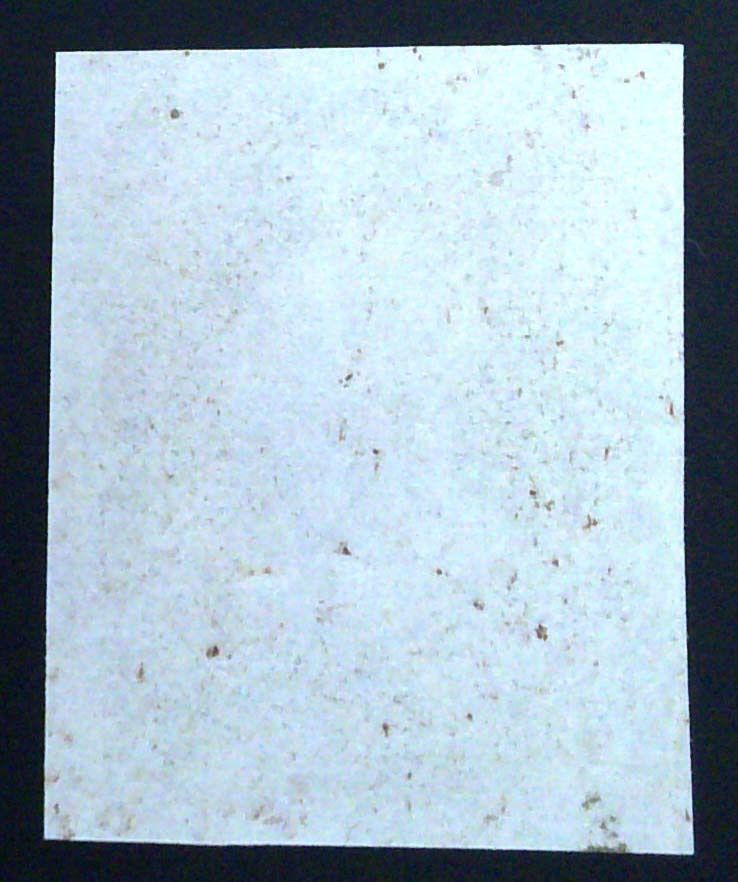 Scott #63TC5 - Plate on wove paper, imperf - Muddy Brown - MacDonough ...