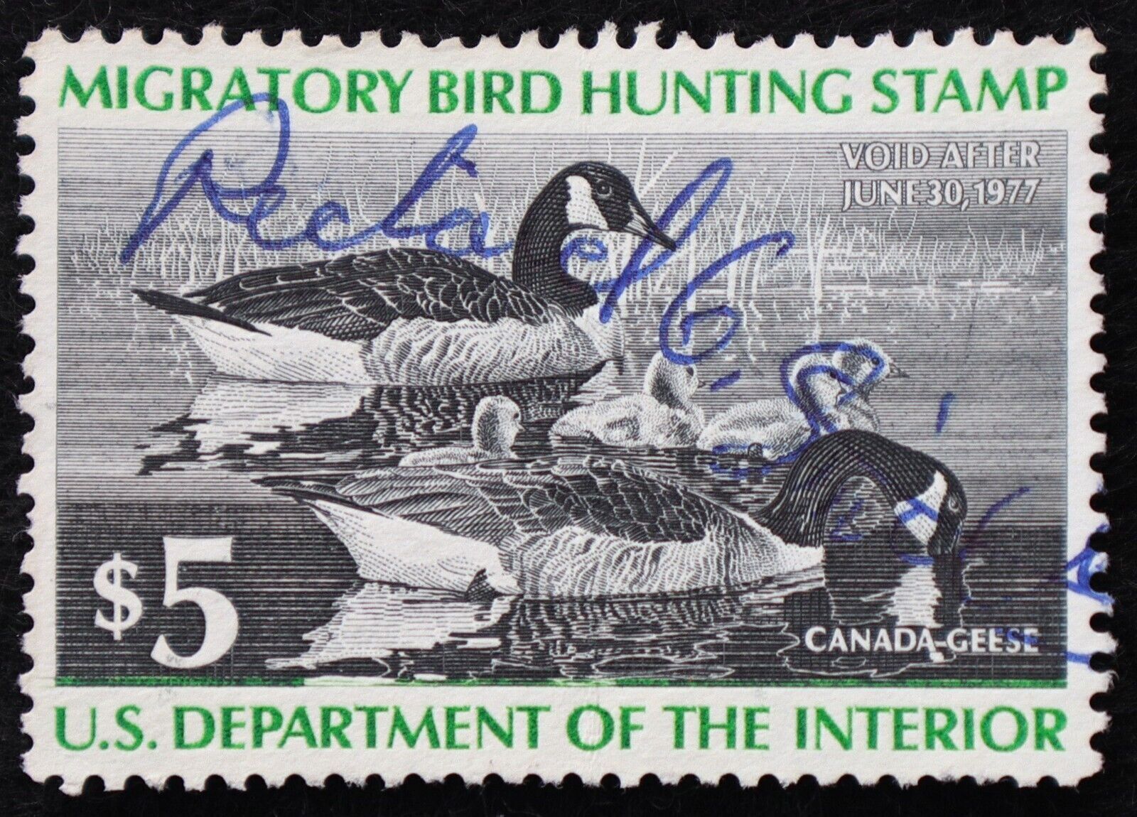 U.S. Used Stamp Scott #RW43 $5 Federal Duck Hunting, Superb. A Gem ...