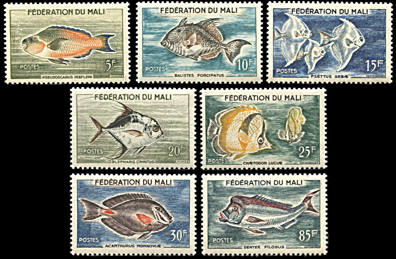 Mali Federation 2-8, hinged, Fish Definitives | Africa - Mali, General ...