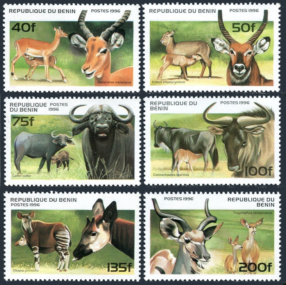 Benin 930-935, MNH. Mi 856-861. Ungulates 1996. Aeryceros melampus ...