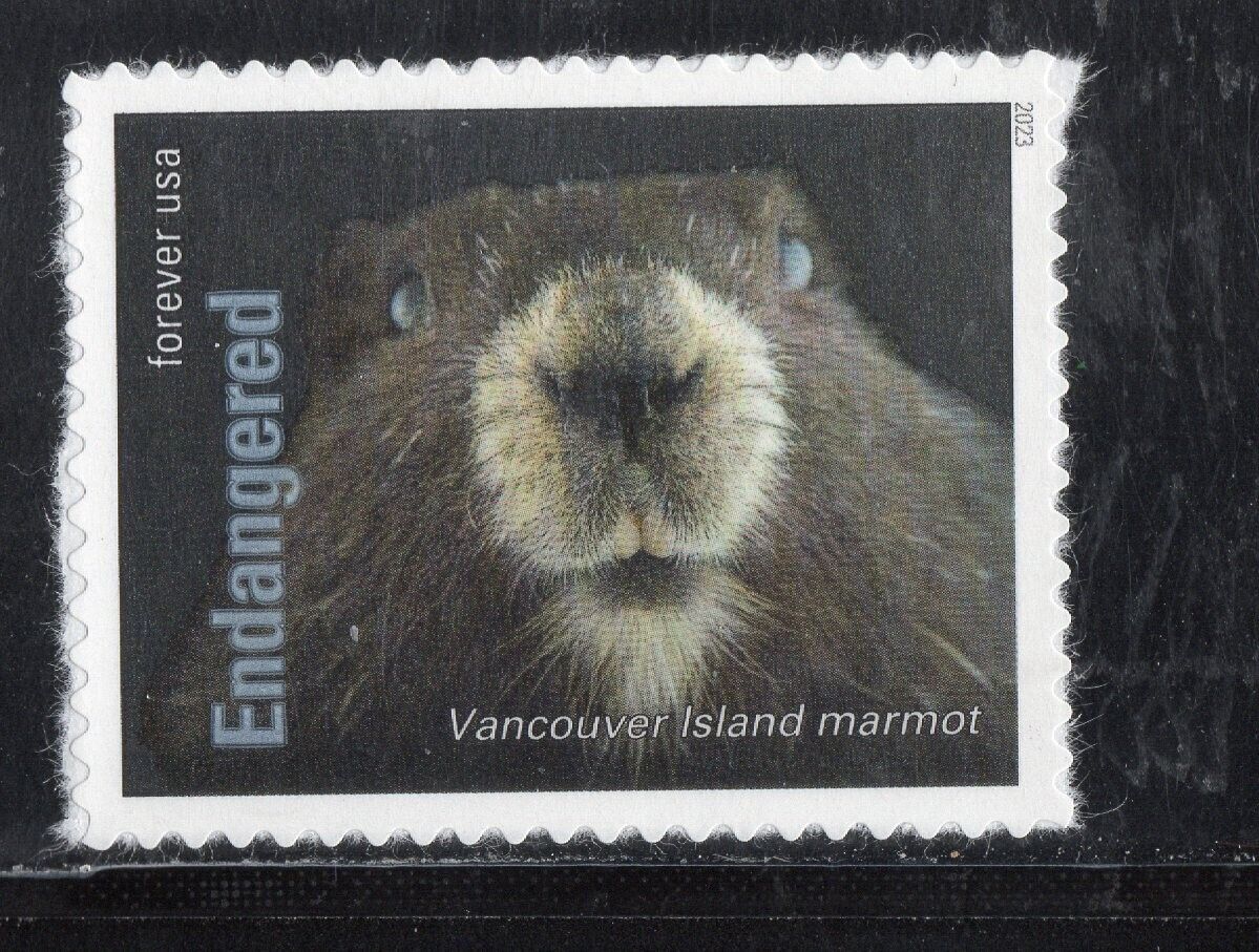 5800k * Vancouver Island Marmot * Endangered Species * U.S. Postage ...
