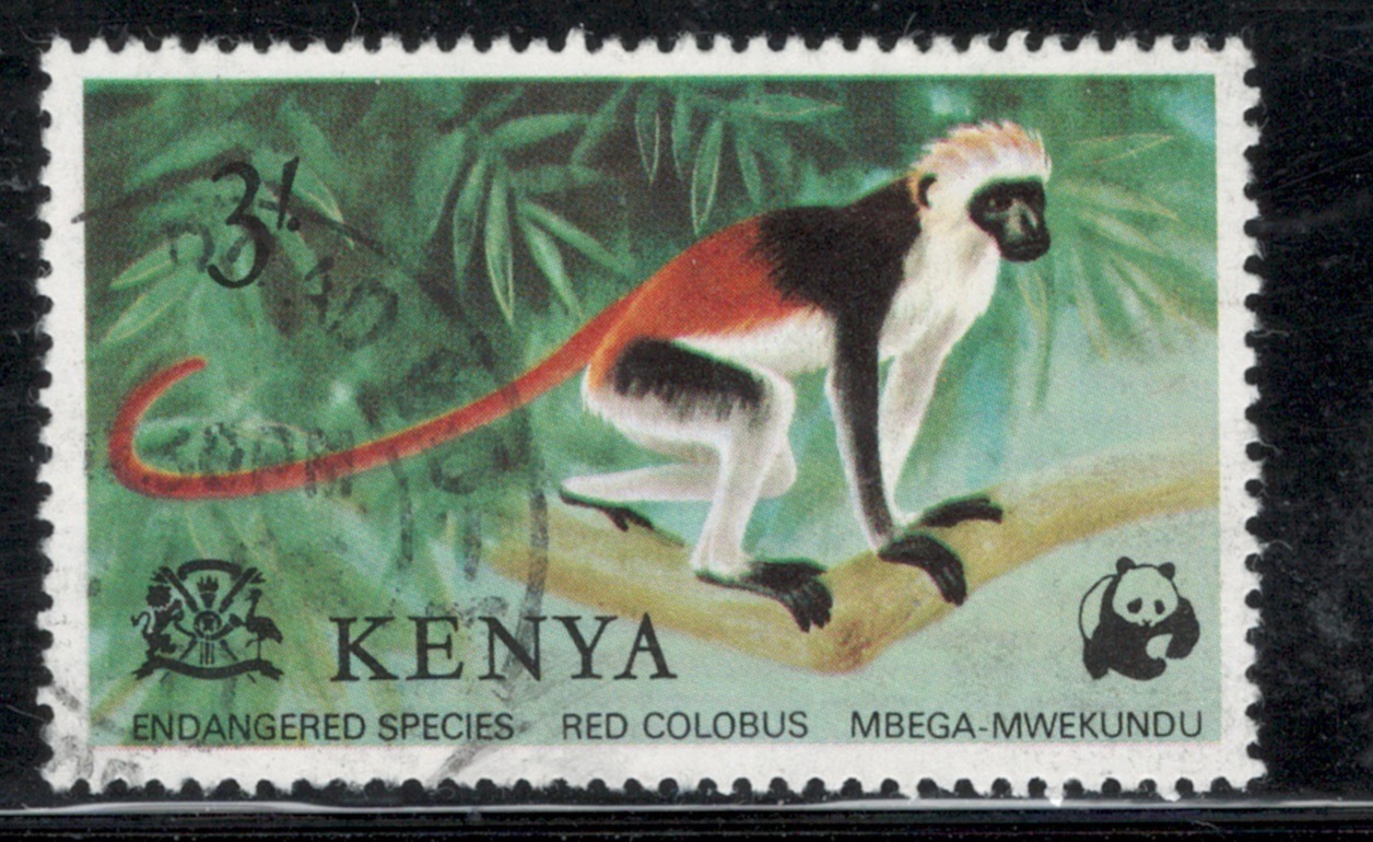 Kenya 1977 Red Colobus Monkey 3sh Scott # 92 Used | Africa - Kenya ...