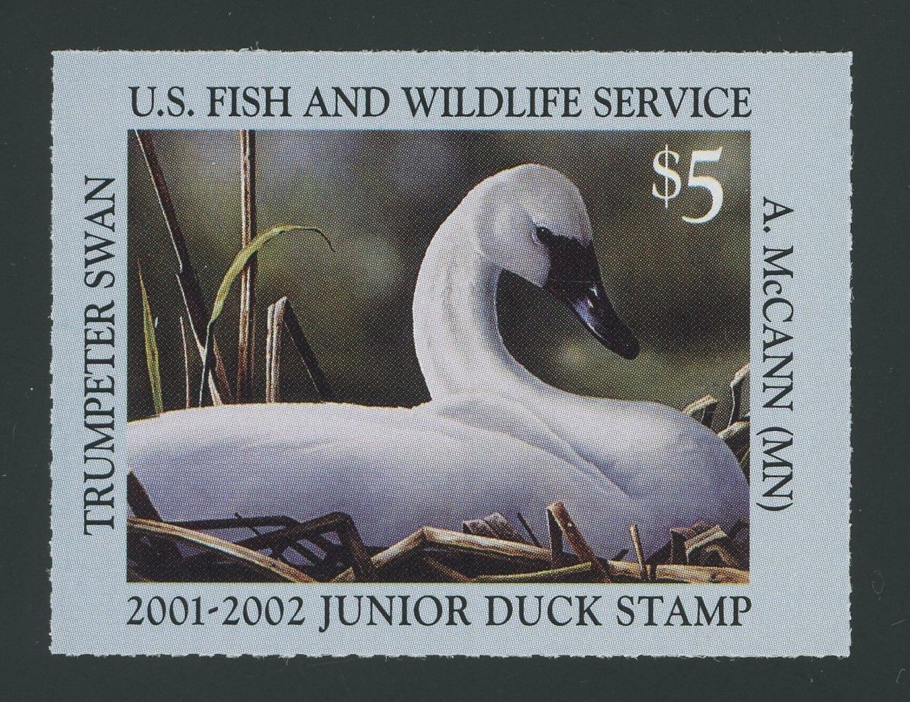 USA JDS9 - 5 Dollar Junior Duck Stamp - Trumpeter Swan - VF Mint nh ...