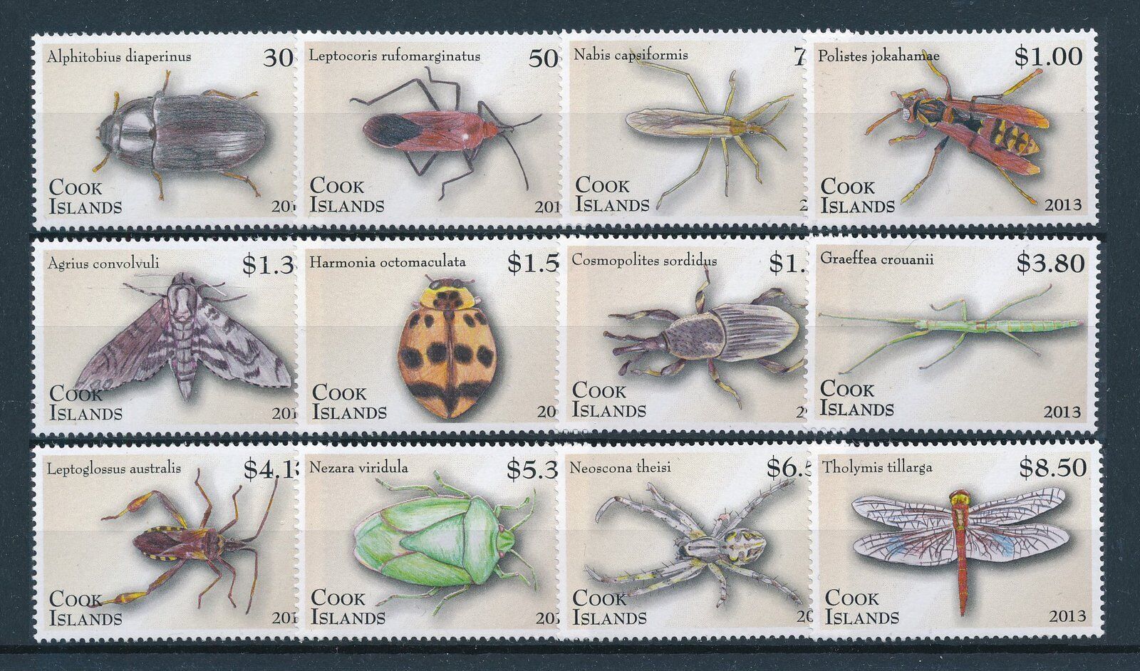 [113709] Cook Islands 2013 Insects beetles dragonfly spider bugs MNH ...