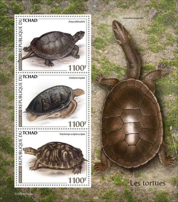 Chad - 2021 Turtles, Green Sea, Yellow-bellied Slider - 3 Stamp Sheet ...