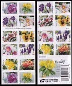 U.S.#5727-5736 (5736b) Snowy Beauty 60c FE Booklet of 20, MNH. | United ...