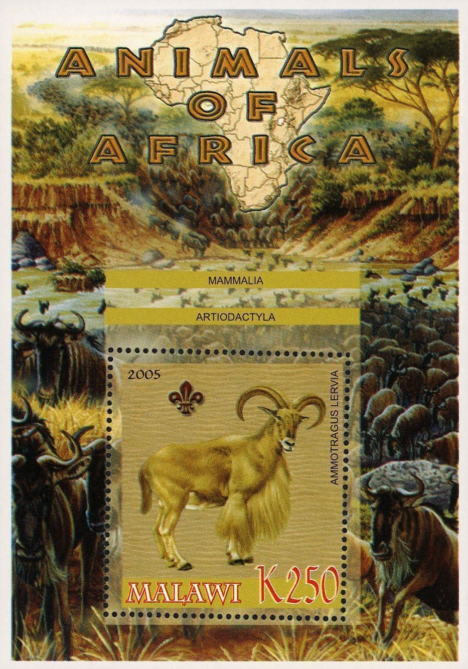 Malawi Animals of Africa Mammals Ammotragus Lervia Souvenir Sheet Mint ...