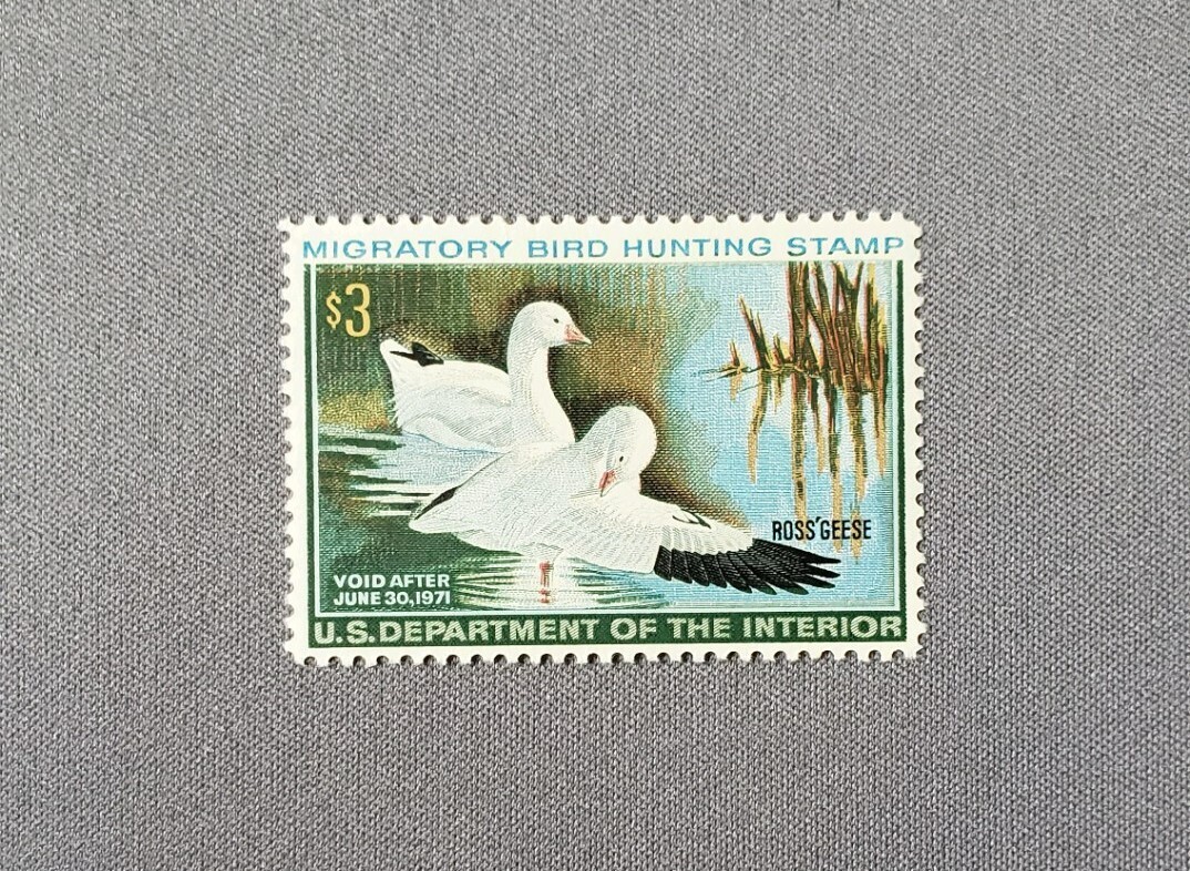 RW37, Ross's Geese, Mint OGNH CV $98 | United States, Duck Stamps ...