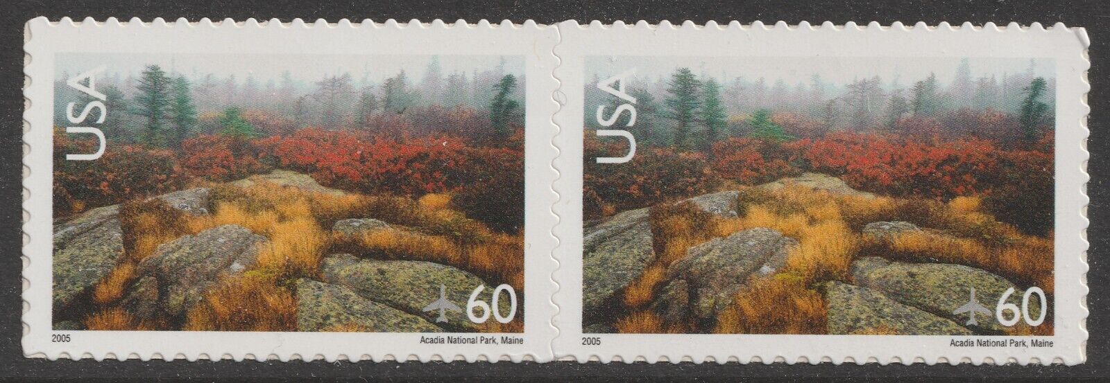 US C138b Airmail Acadia National Park 60c horz pair MNH 2005 | United ...