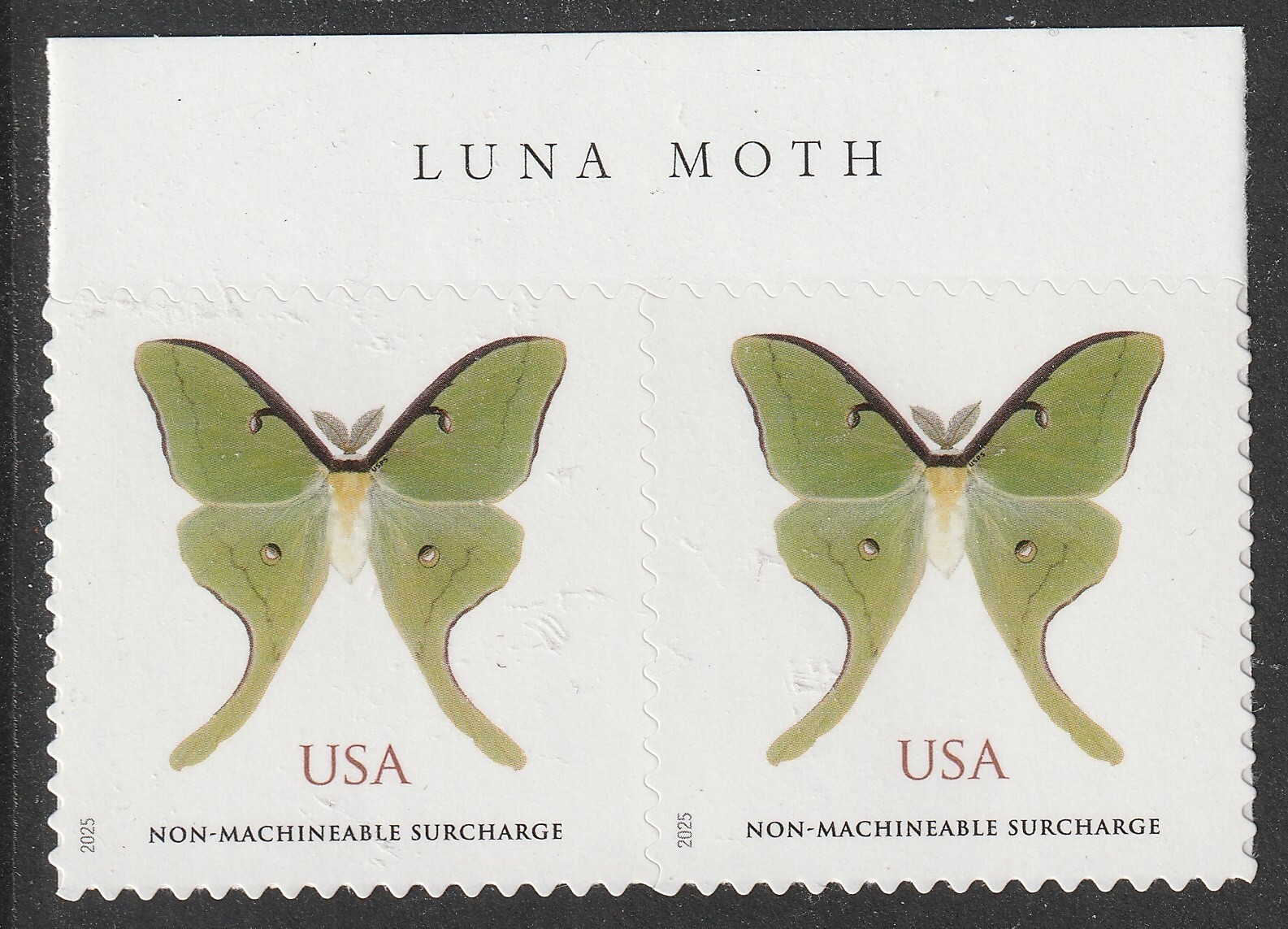 US 6031 Butterfly Luna Moth NMS header pair MNH 2025 | United States ...