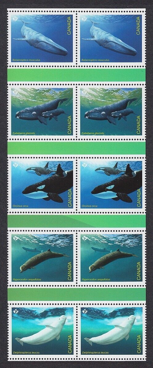 WHALES = ORCA, BELUGA ..= Vertical BLOCK of 5 Pairs from UNCUT Sheet ...