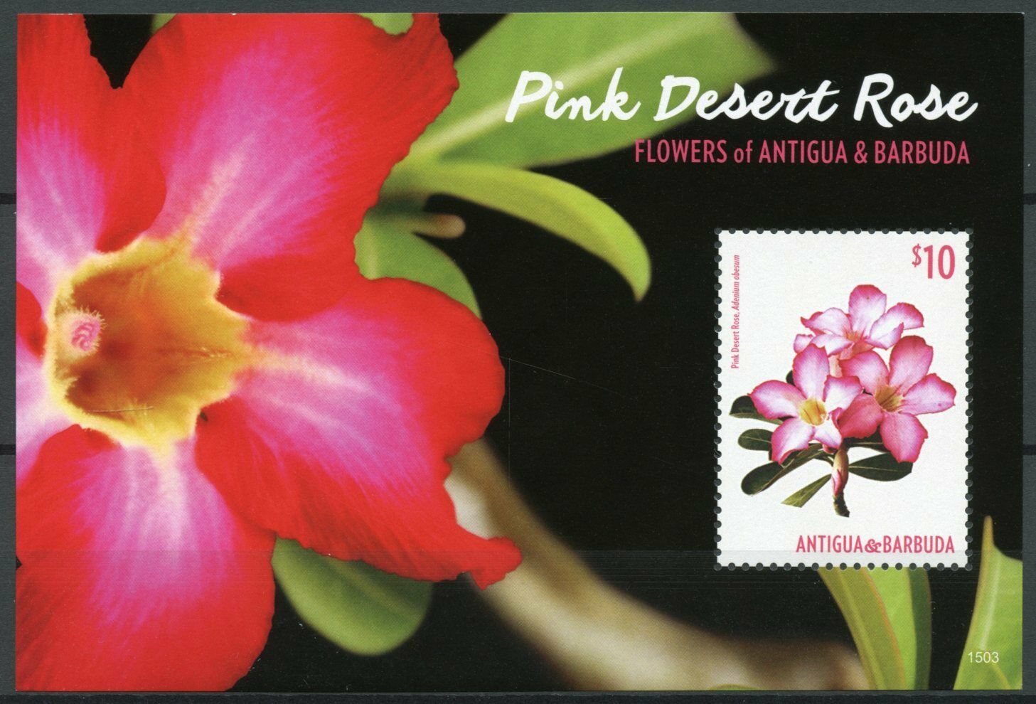 Antigua & Barbuda Flowers Stamps 2015 MNH Pink Desert Rose Roses Flora ...