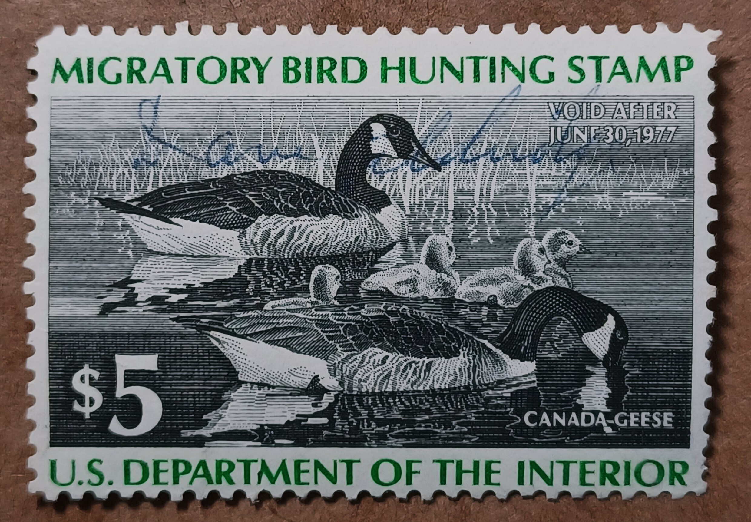 United States #RW43 $5 Canada Geese USED (1976) signed | United States ...