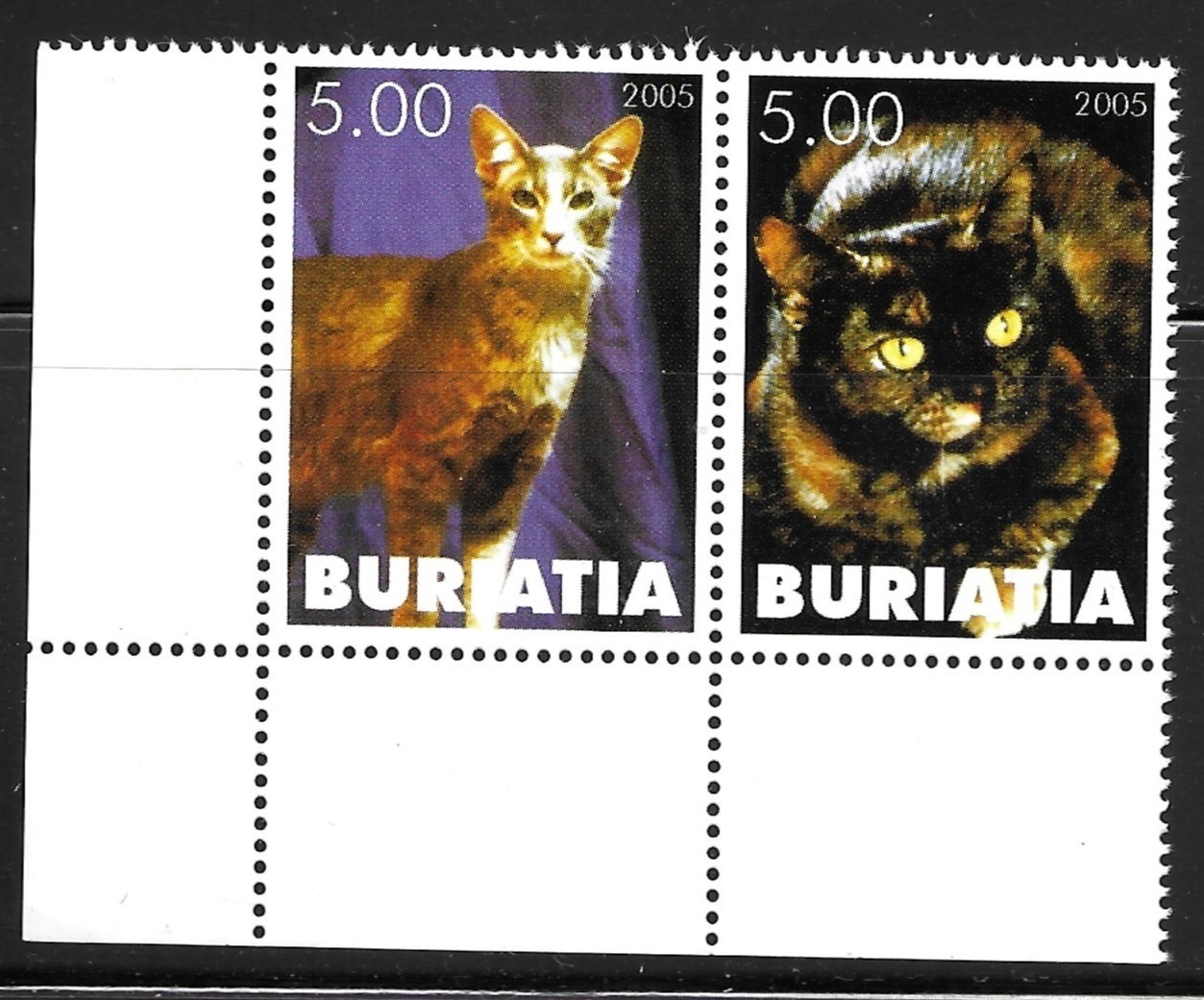 Buriatia, Russia $5 Domestic Cats MNH | Europe - Russia & Soviet Union ...