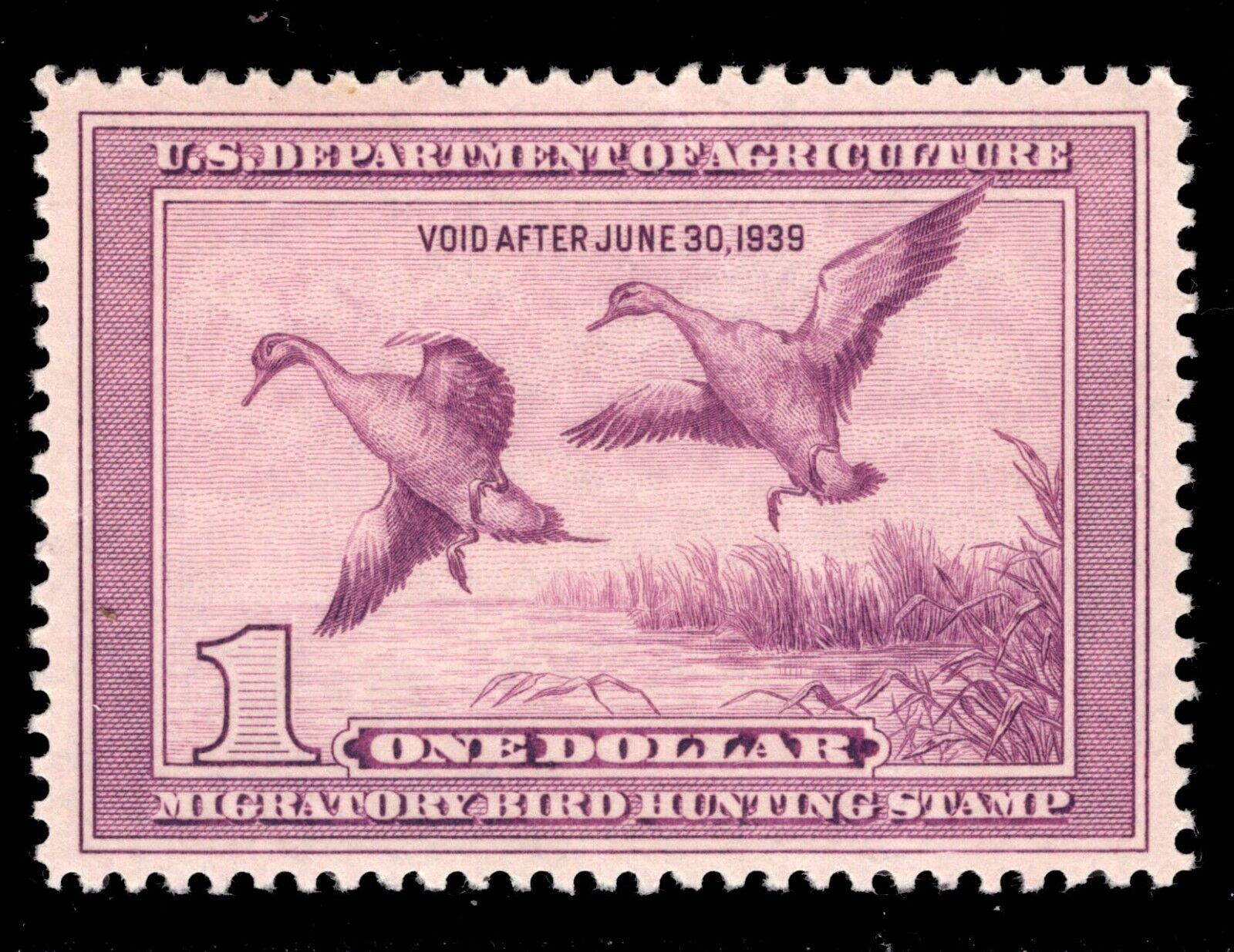 US Stamps #Rw5 Duck Mint OG NH PSE Graded Cert Vf-80J LOT #90111 ...