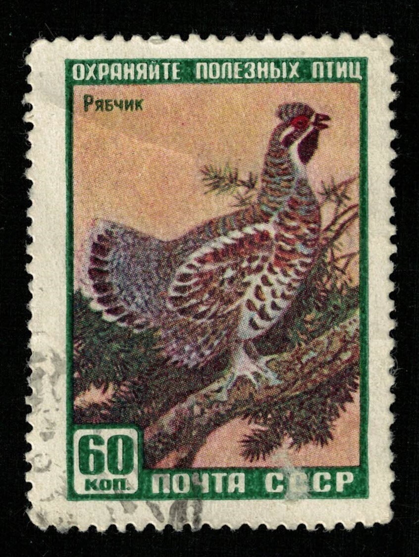 Bird, USSR, (RT-2022) | Europe - Russia & Soviet Union, Stamp / HipStamp