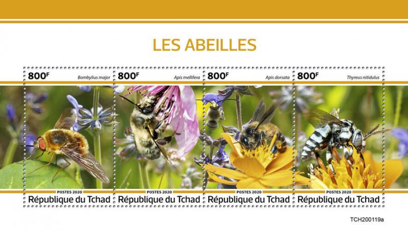 Chad Bees Stamps 2020 MNH Honey Bee Insects 4v M/S / HipStamp