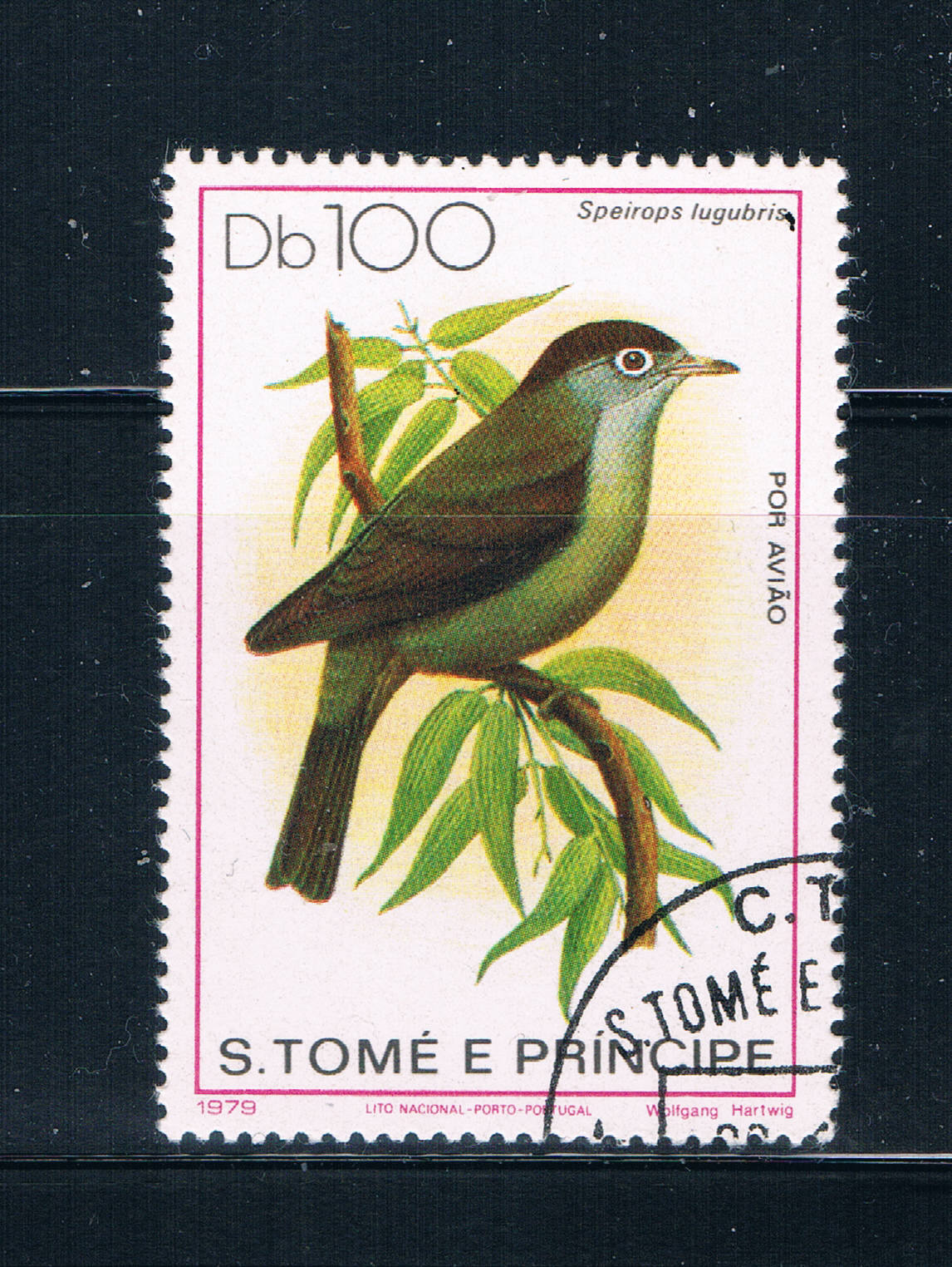 Saint Thomas and Prince Is 546 Used Bird Speirops lugubris (S0697 ...