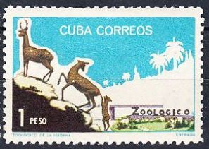 Cuba Sc# 907 NATIONAL ZOO ANIMALS Deer 1p 1964 MNH | Caribbean - Cuba ...