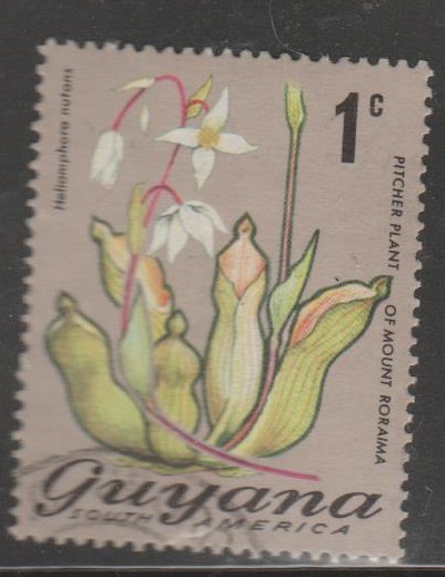 GUYANA 1972, used 1c, Flora Scott 133 | Central & South America ...