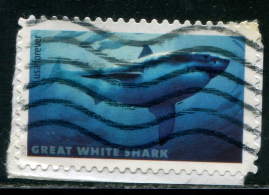 5227 US (49c) Great White Shark SA, used on paper | United States ...