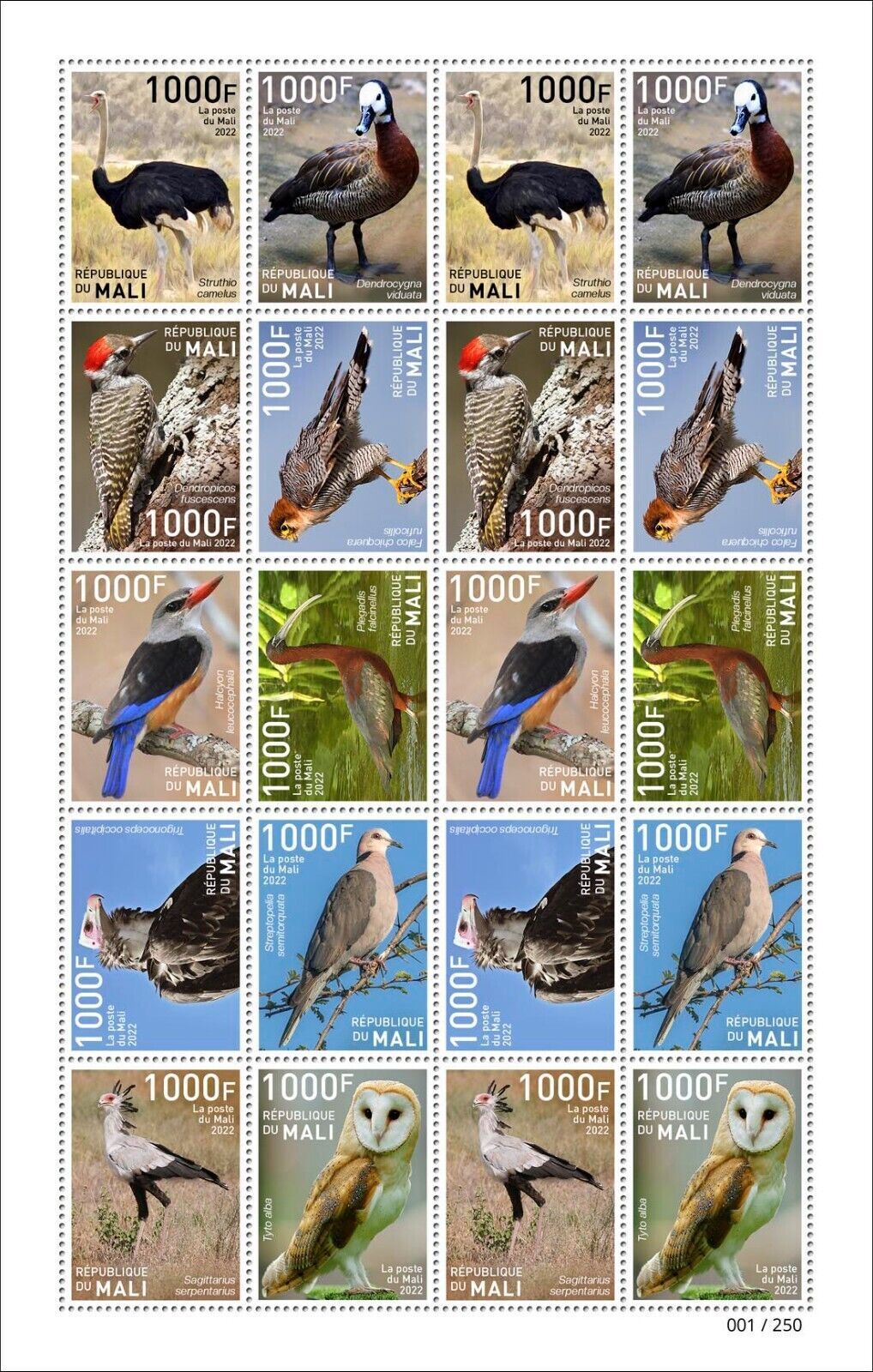 Mali 2022 Sheet Ostrich Hawk Eagle Woodpecker Ibis Owls Dove Secretary ...