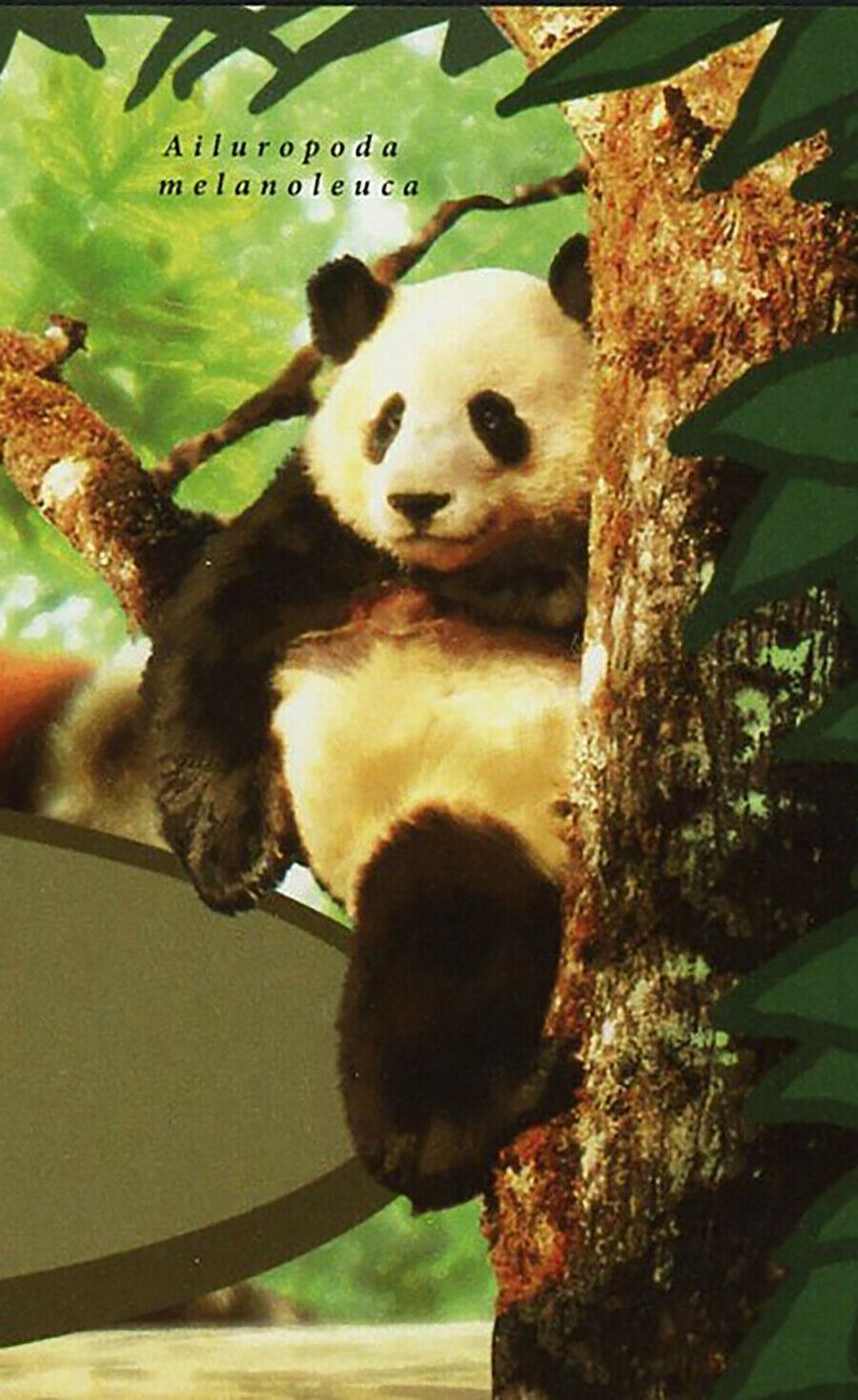 Pandas Stamp Giant Panda Red Panda Ailurus Fulgens Ailuropoda ...