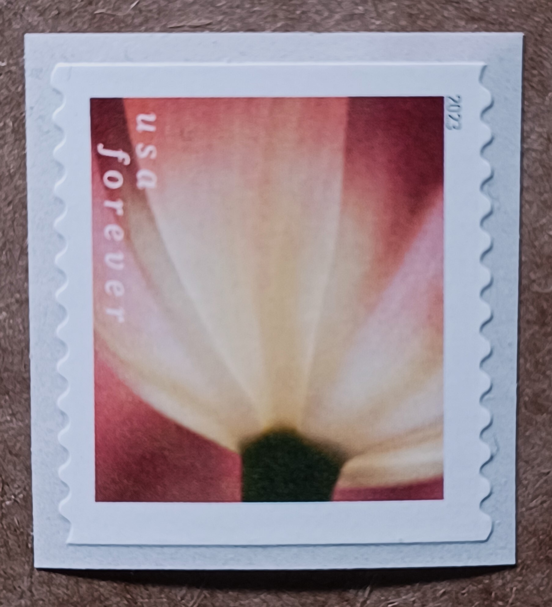 United States #5773 (63c) Tulip Blossoms coil MNH (2023) | United ...