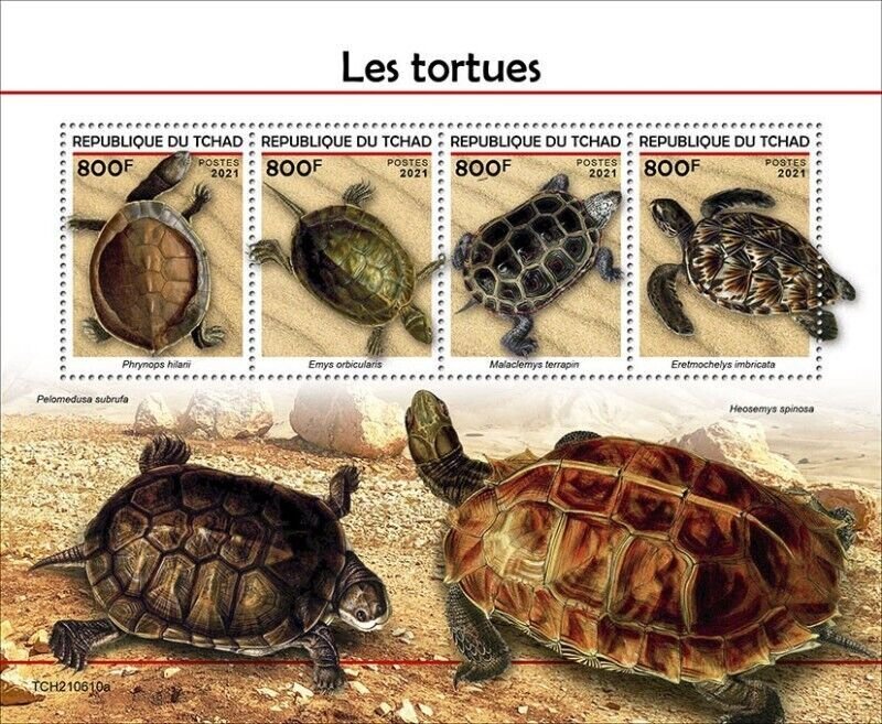 Chad - 2021 Turtles, Terrapin, Hawksbill Sea Turtle - 4 Stamp Sheet ...