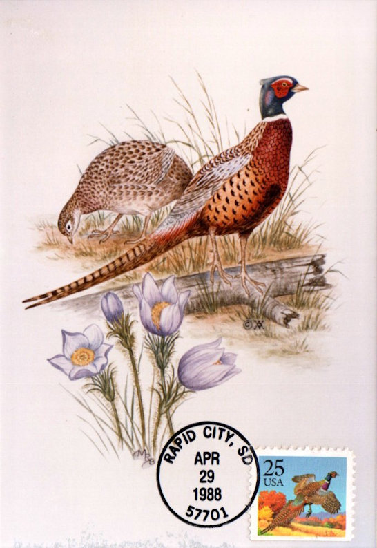 #2283 Ring-Necked Pheasant Double A Photo FDC | United States, General ...