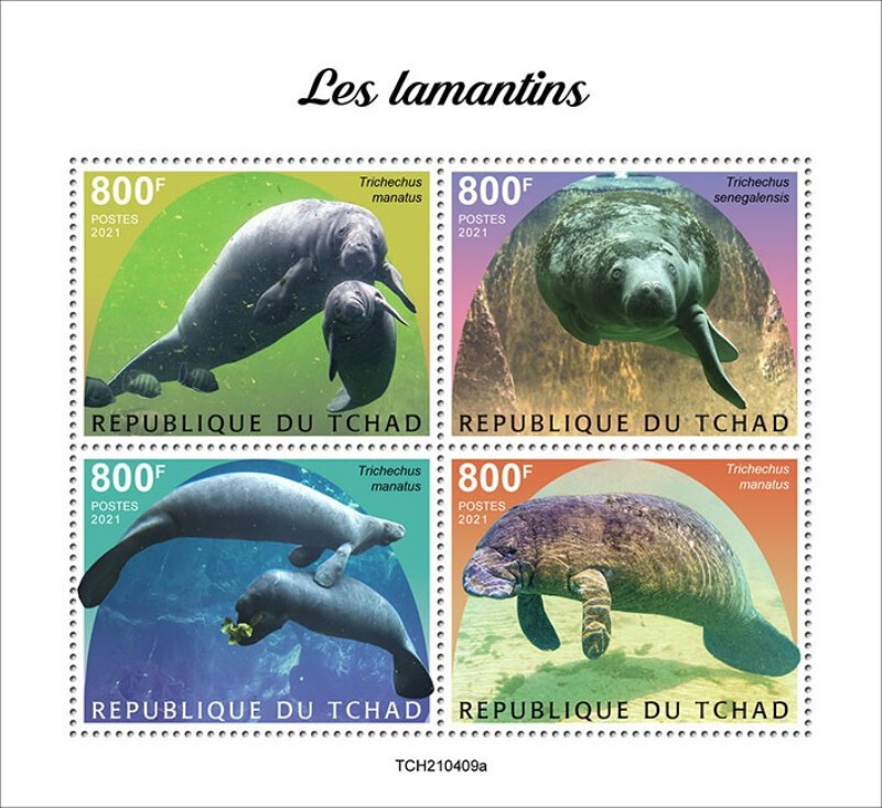 Chad - 2021 Manatees, West Indian, African - 4 Stamp Sheet - TCH210409a ...