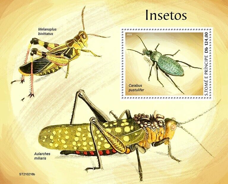 Sao Tome & Principe 2021 MNH Insects Stamps Beetles 1v S/S | Caribbean ...