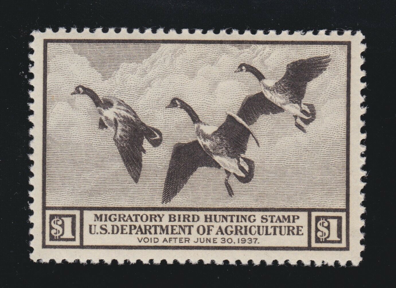 US RW3 $1 Federal Duck Stamp Mint VF-XF OG NH SCV $325 | United States ...