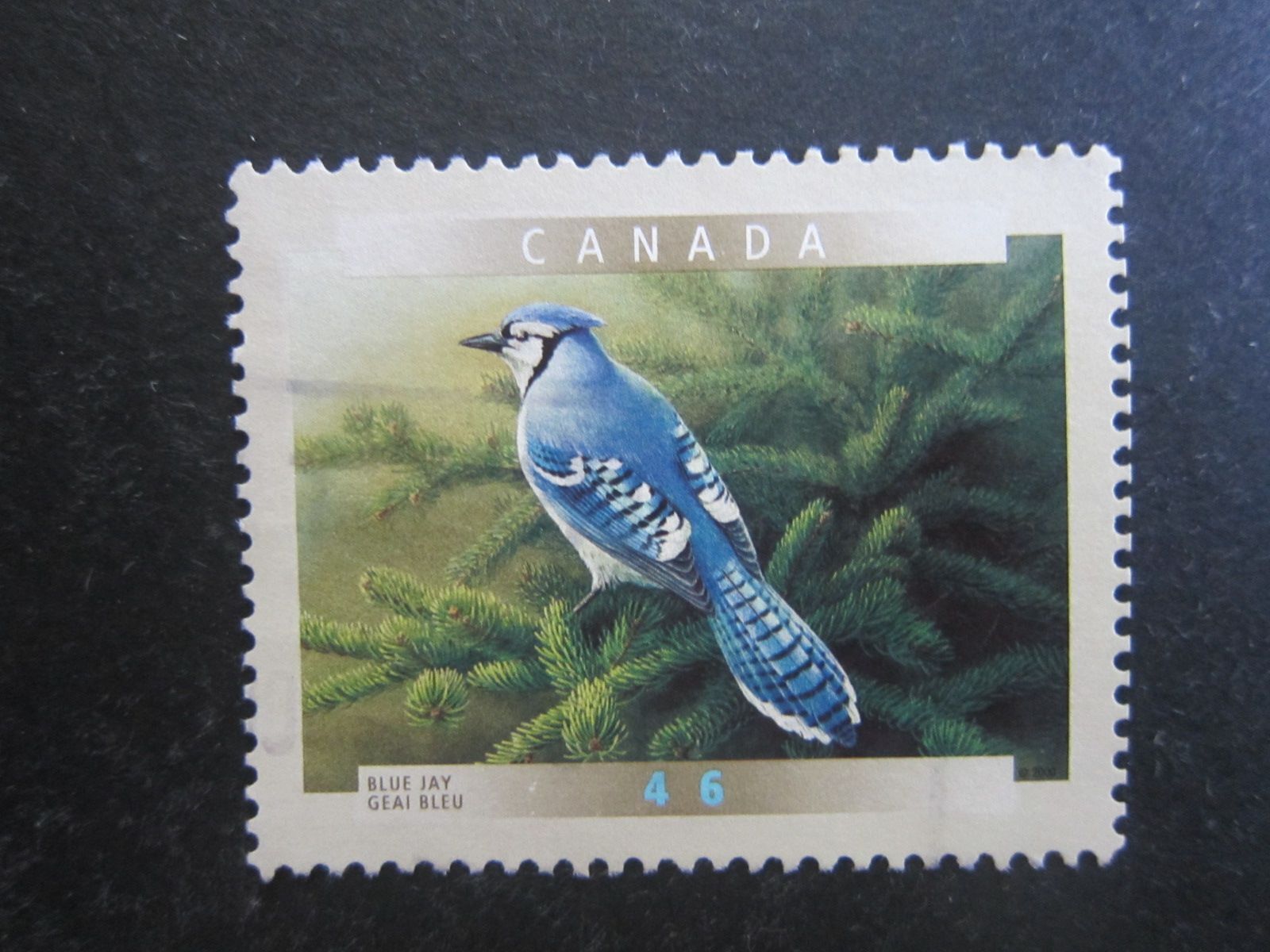 Canada #1842 Birds Of Canada Nice stamps {ca2187} | Canada, General ...
