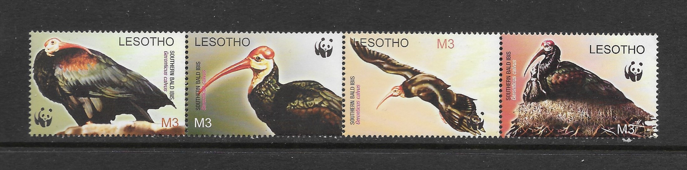 BIRDS - LESOTHO #1336 SOUTHERN BALD IBIS WWF MNH / HipStamp