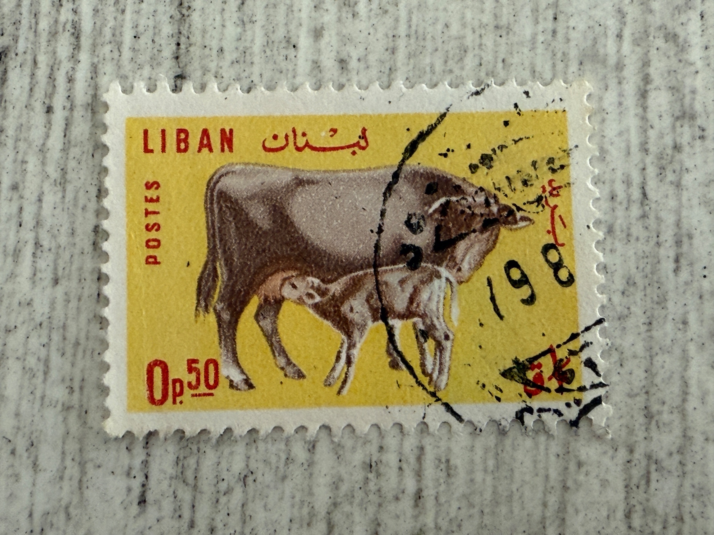 Lebanon #440 Used, 0.50p, Cow and Calf, 2024 SCV.$0.25 | Middle East ...