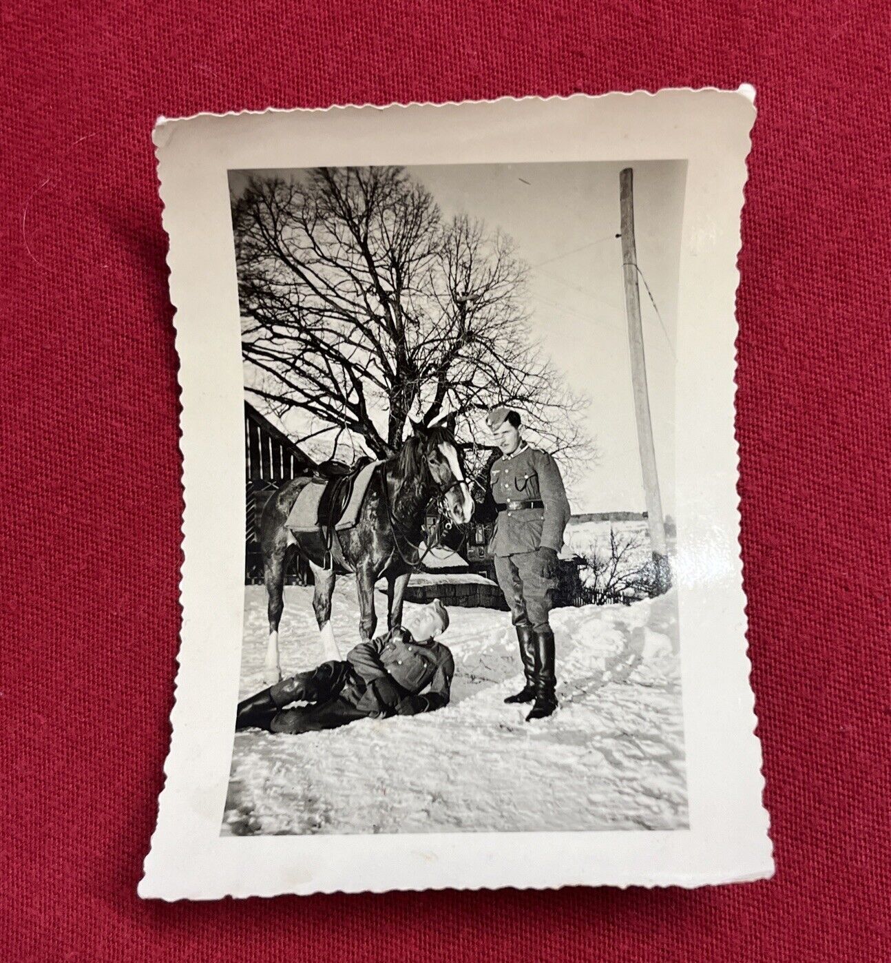 WW2 WWII Original German Military wartime Photo Soldier Laying Down W ...