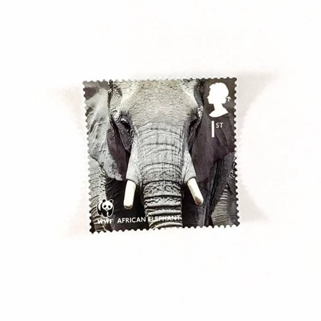 1 x African Elephant UNused GB - 1st Class Mint Postage Stamp - WWF ...