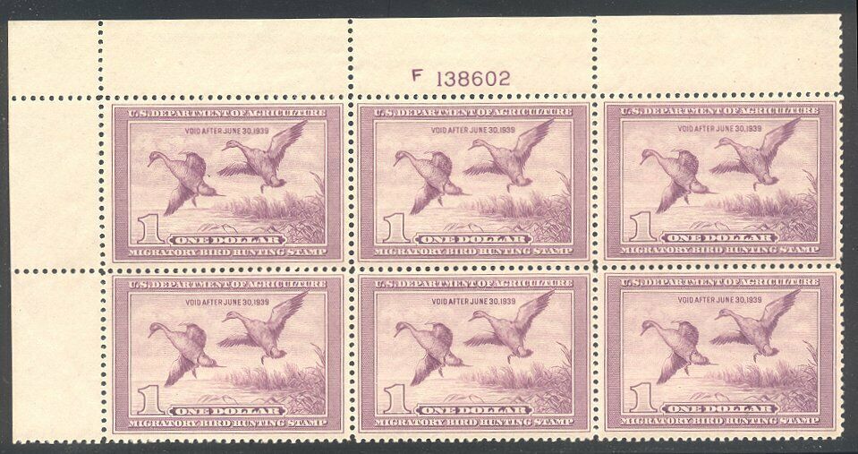 U.S. #RW5 CHOICE Mint NH Plate Block w/Cert - 1938 $1 Pintail Drakes ...