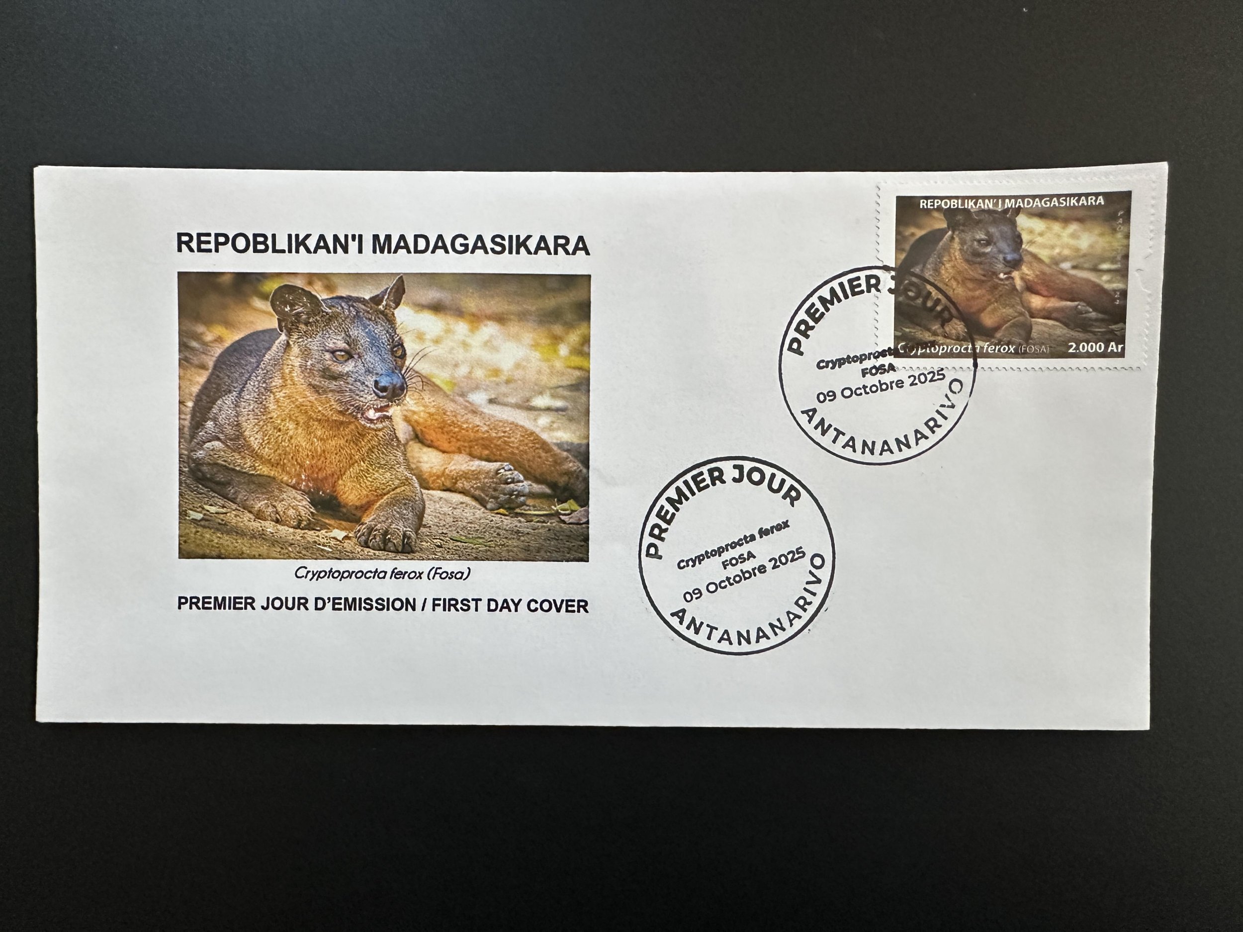 Madagascar 2024/2025 Mi.? FDC Cryptoprocta ferox Fosa Fossa feline ...