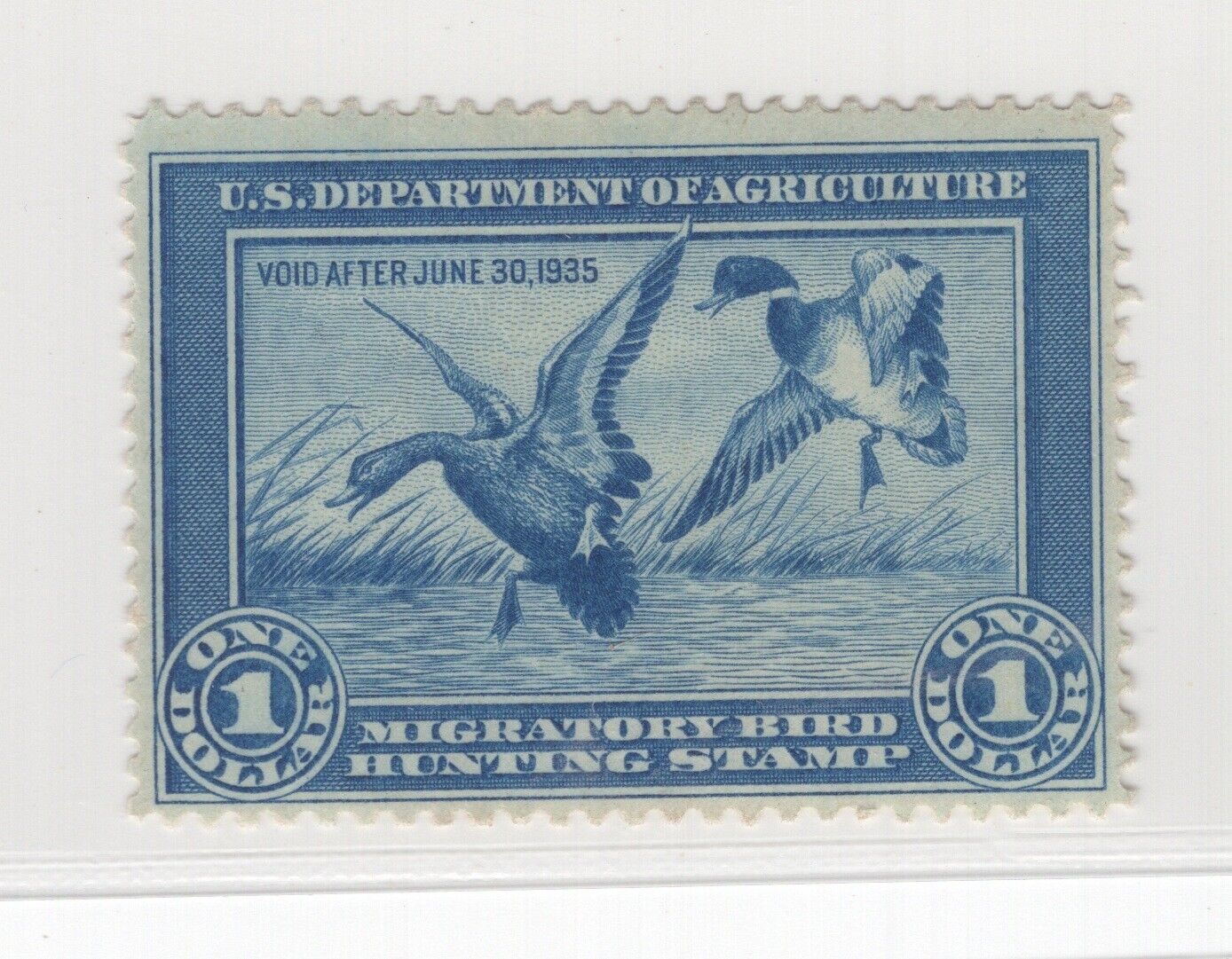 #RW1 Mint F-VF No Gum Great Color (JH 1/24) GP | United States, Duck ...