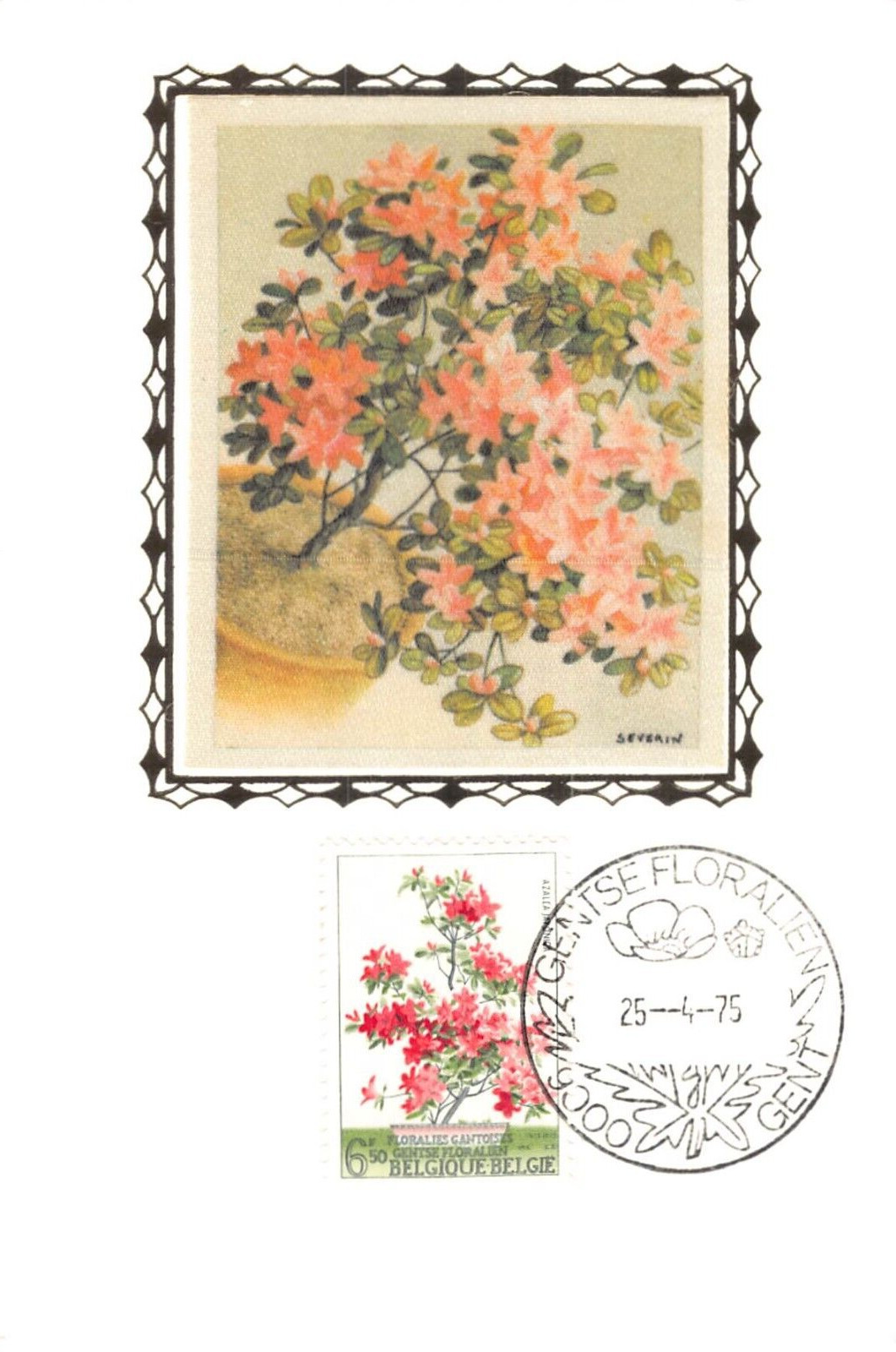 SA35c Belgium 1975 Flowers, Azalea japonica Maxi Card | Europe ...