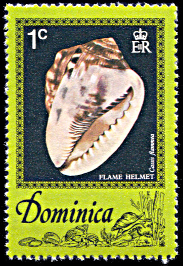 Dominica 514, MNH, Sea Shells, Flame Helmet | Caribbean - Dominica ...