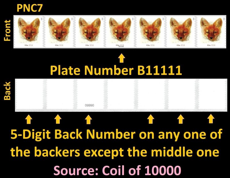 US 5751 Red Fox 40c PNC7 B11111 5-digit back number MNH 2023 after Jan ...