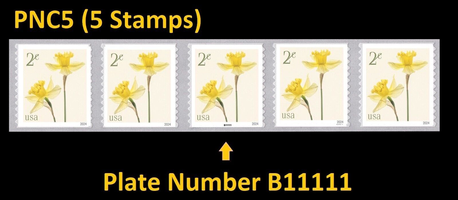 US Flowers Daffodils 2c PNC5 B11111 MNH 2024 after 7/31 | United States ...
