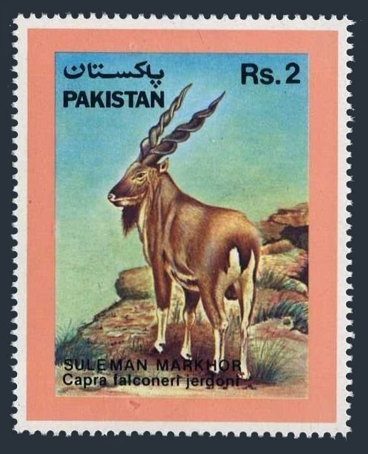 Pakistan 698,MNH.Michel 731. Suleman markhor,1988. | Asia - Pakistan ...