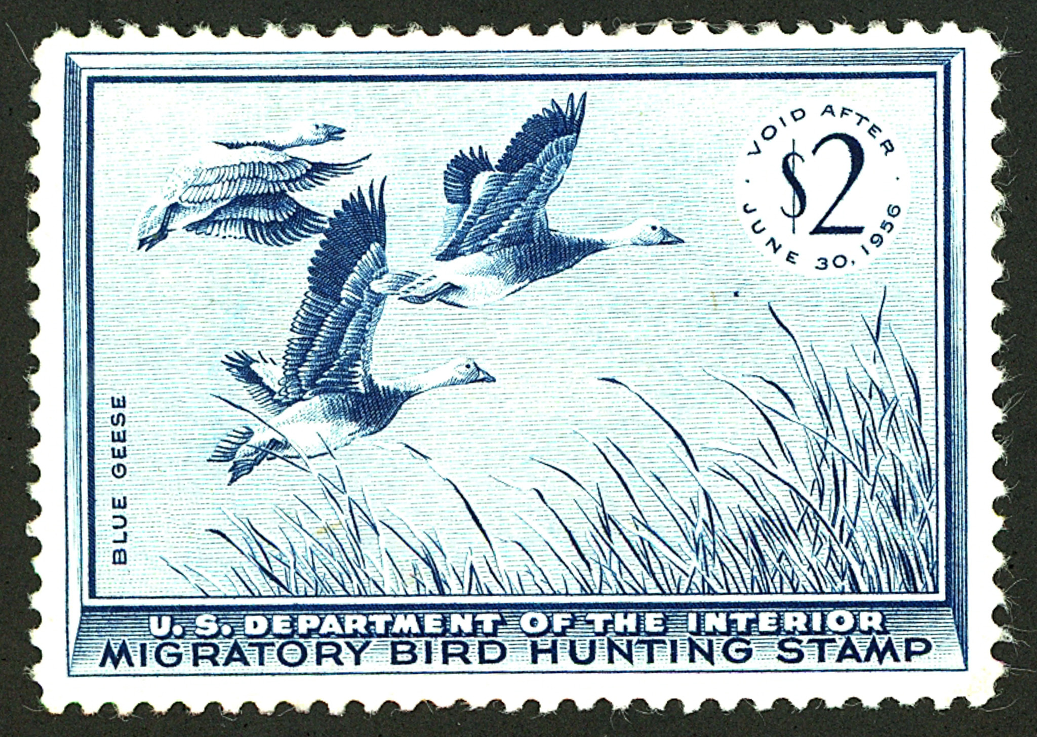 U.S. #Rw22 Mint NG | United States, Duck Stamps - Federal Stamp / HipStamp