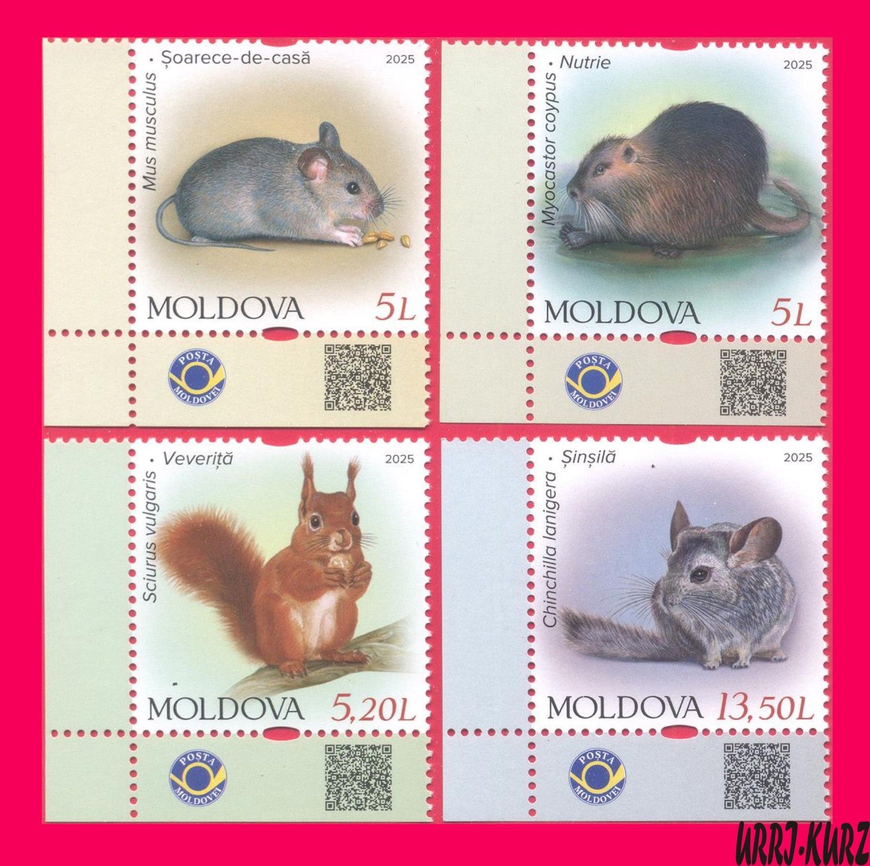 MOLDOVA 2025 Fauna Animal Mammal Rodent Mouse Nutria Squirrel ...