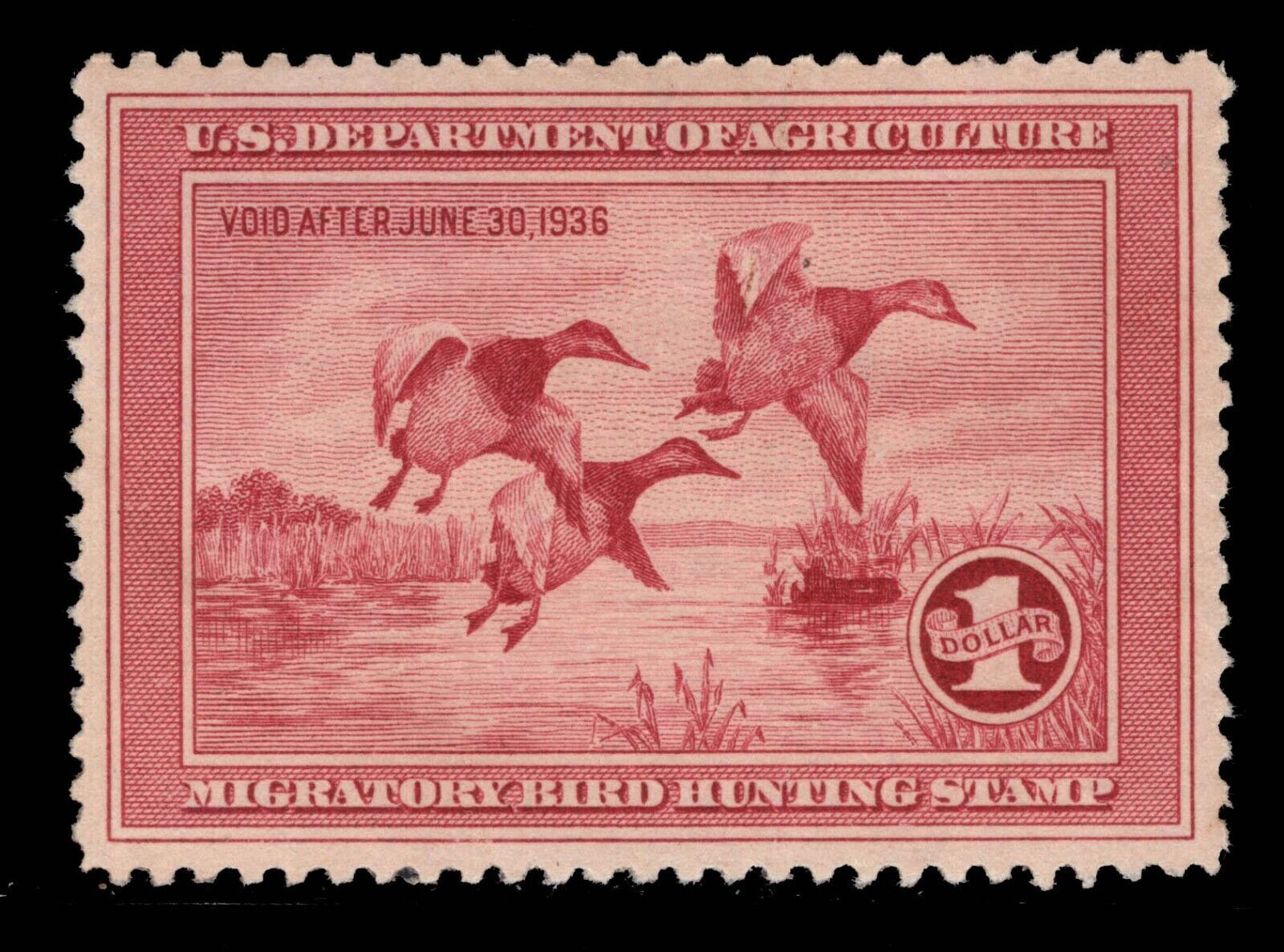 US Stamps #Rw2 Duck Mint OG NH XF LOT #89272* | United States, Duck ...