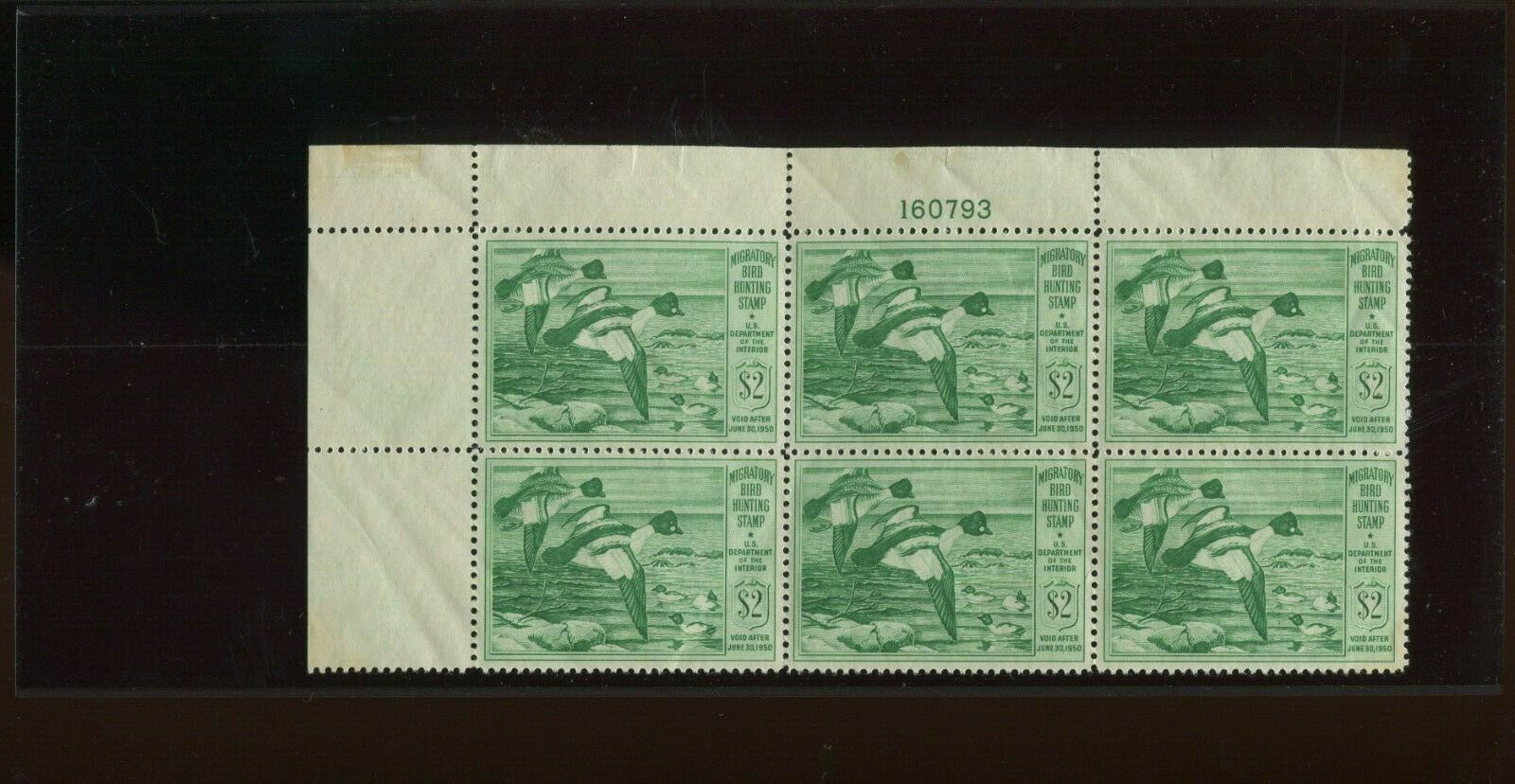 RW16 Federal Duck Mint Plate Block of 6 Stamps (RW16 A9) | United ...